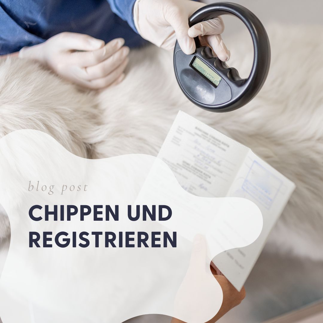 Haustier chippen und registrieren - Tierisches-Wissen.de
